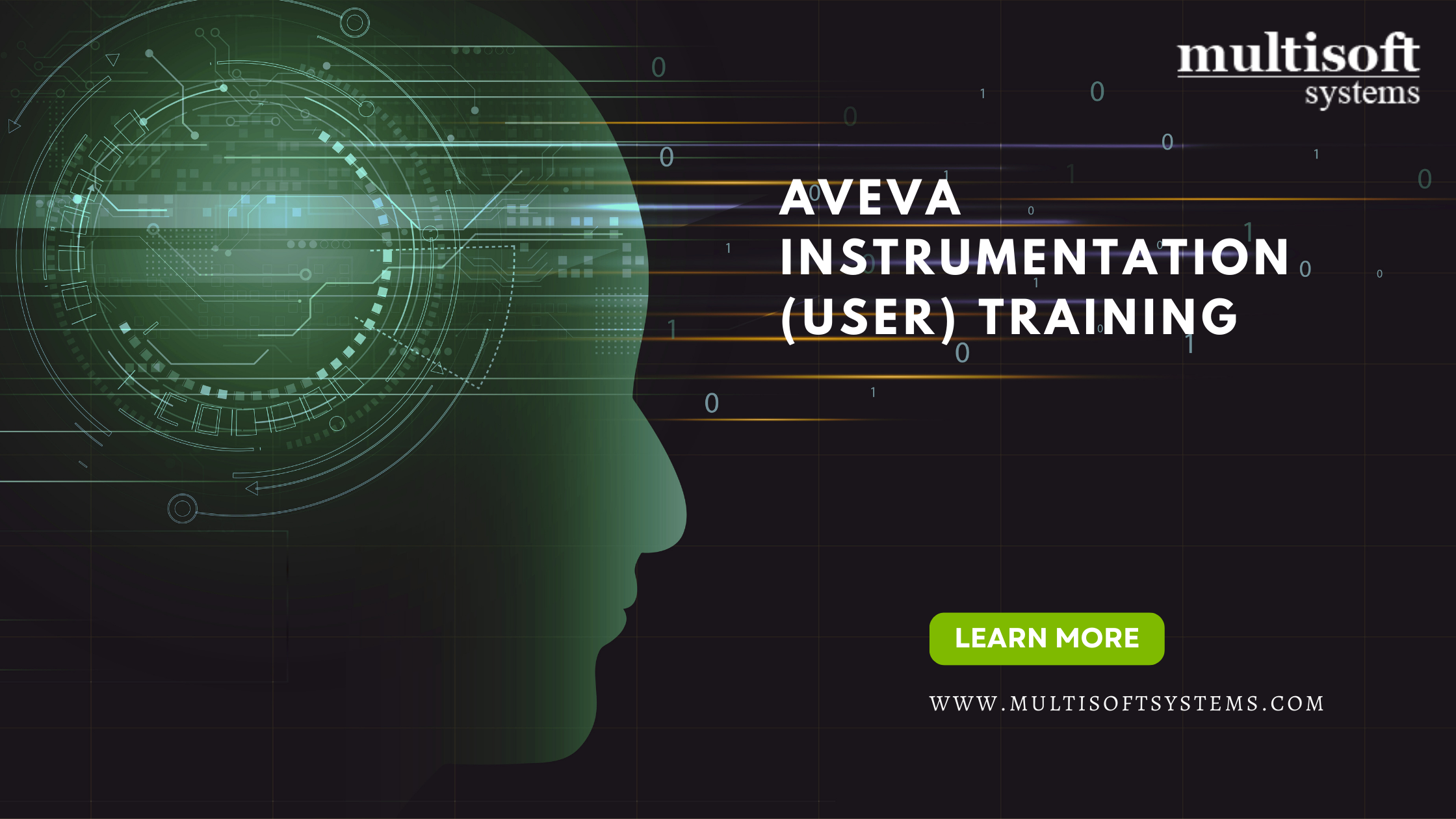AVEVA Instrumentation User Training: Enhancing Engineering Efficiency